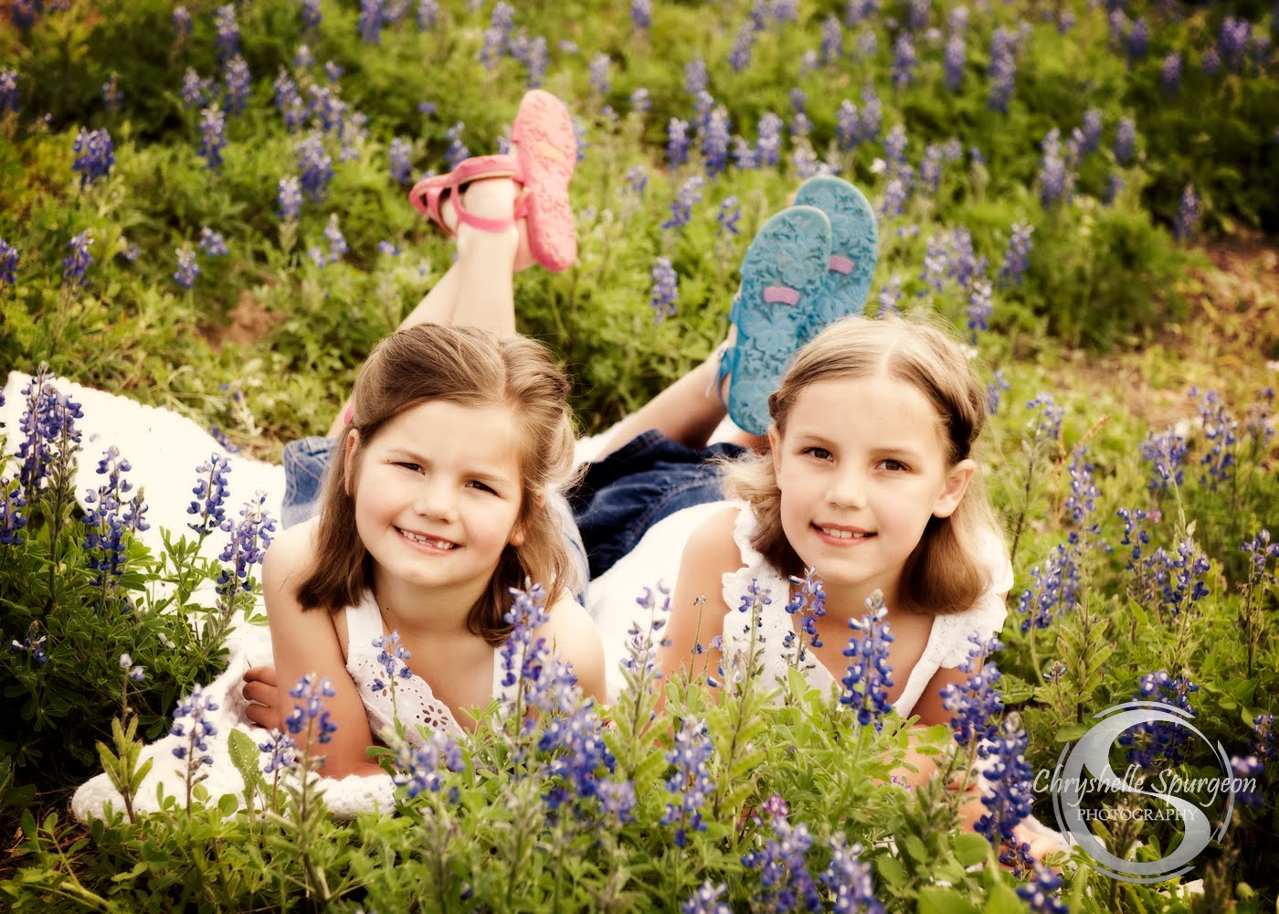 Chryshelle Spurgeon Photography: Bluebonnet Preview #1 {Custom ...
