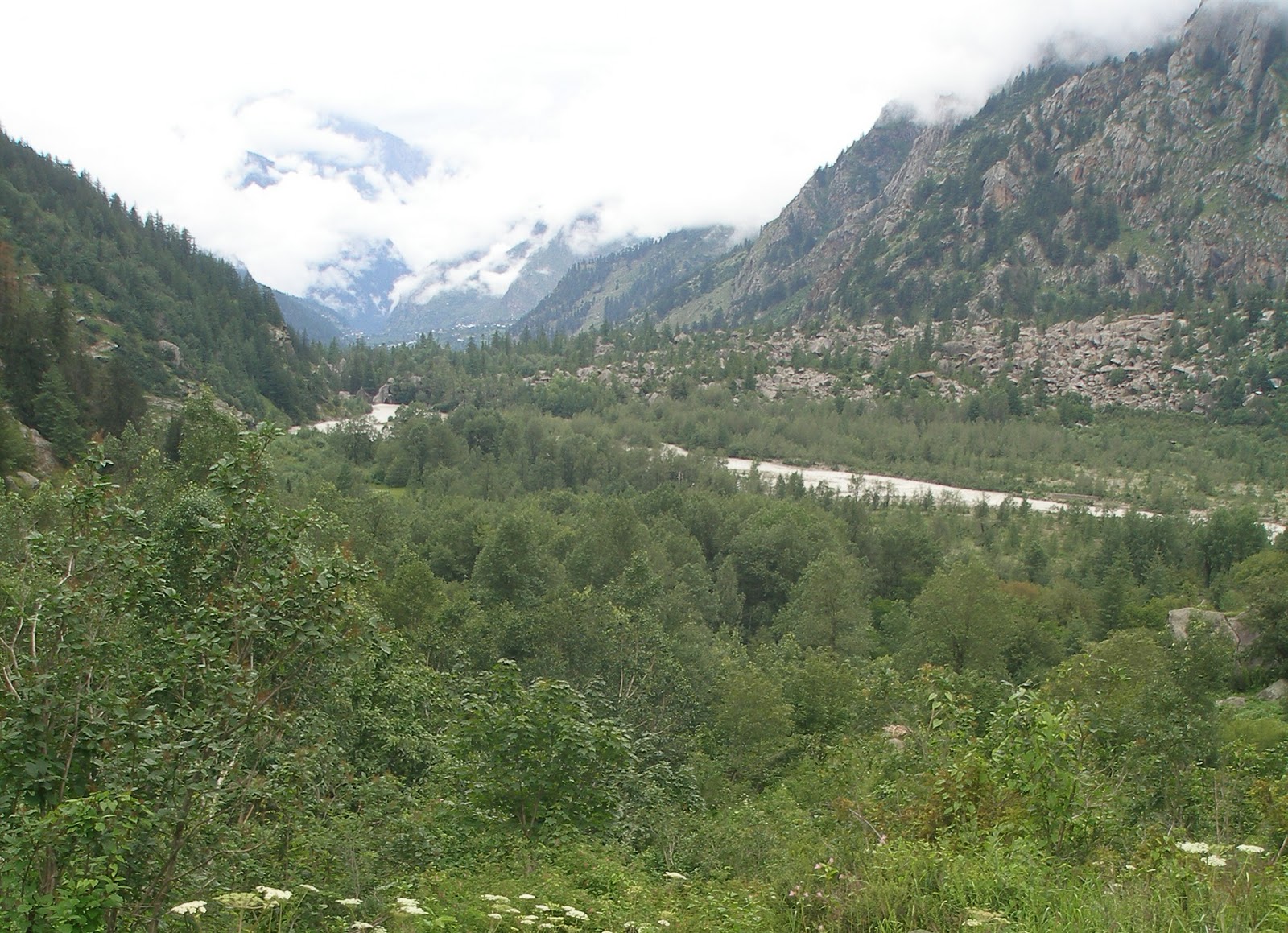 Travel Notes .....: Day 4 - Rakcham Trek - Sangla - Kinnaur Valley ...