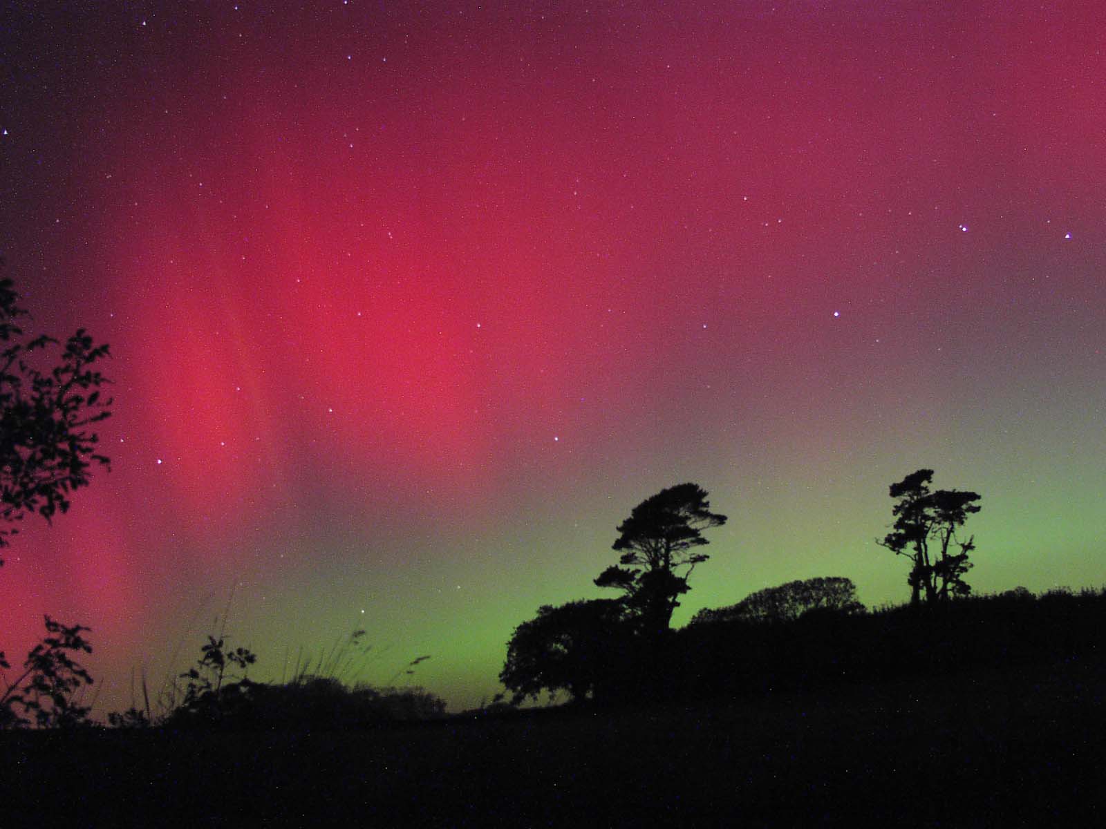 Aurora: Pictures