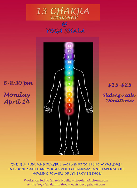 ESTRELLA ANA MARIA-SANACION: LOS 13 CHAKRAS