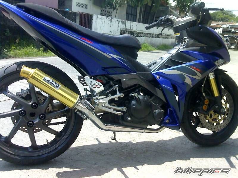 Gallina Vecchia: yamaha X1R