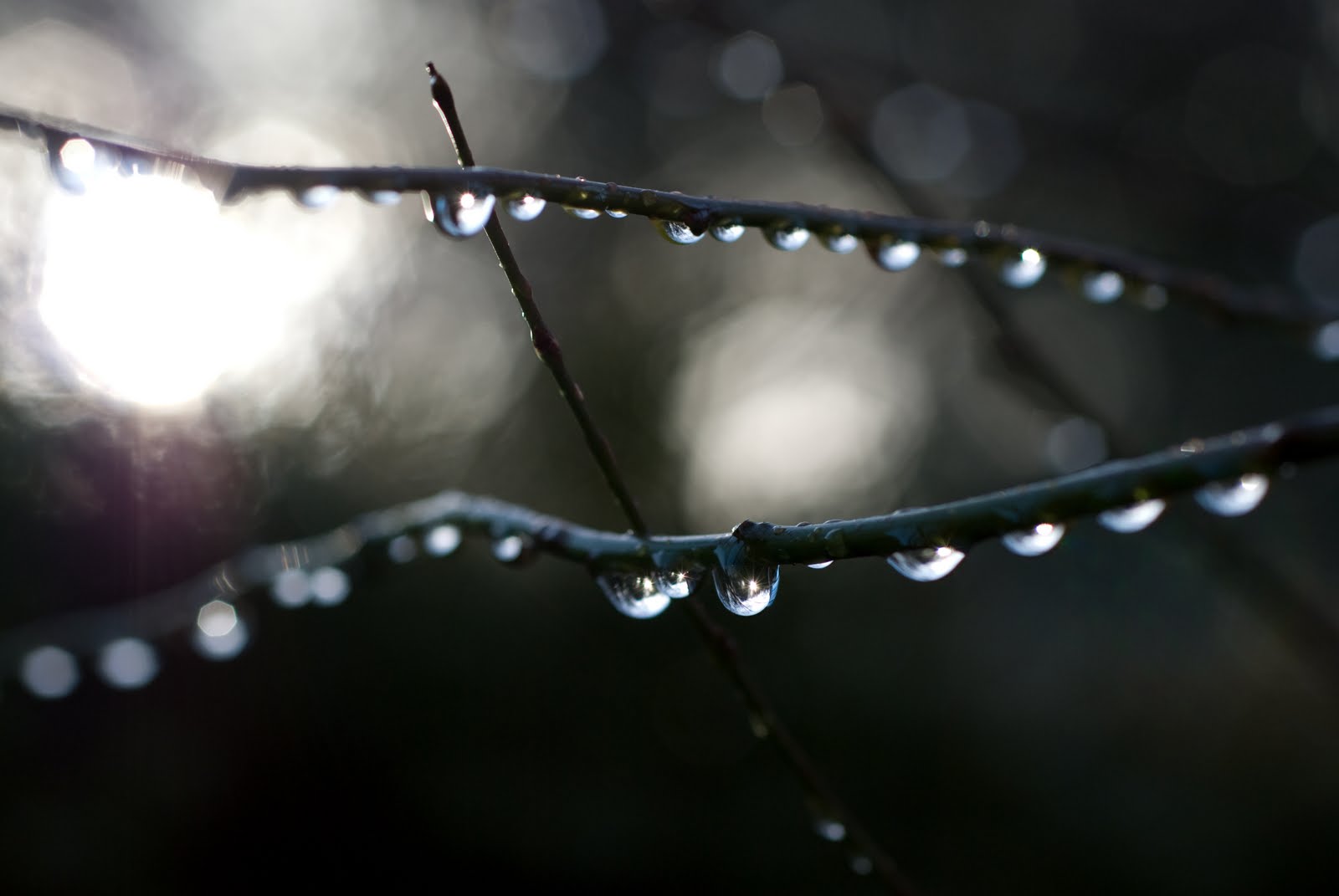 eyes to see: April 2010