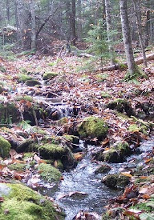 Arrowjay: 12/13/09 - 12/20/09