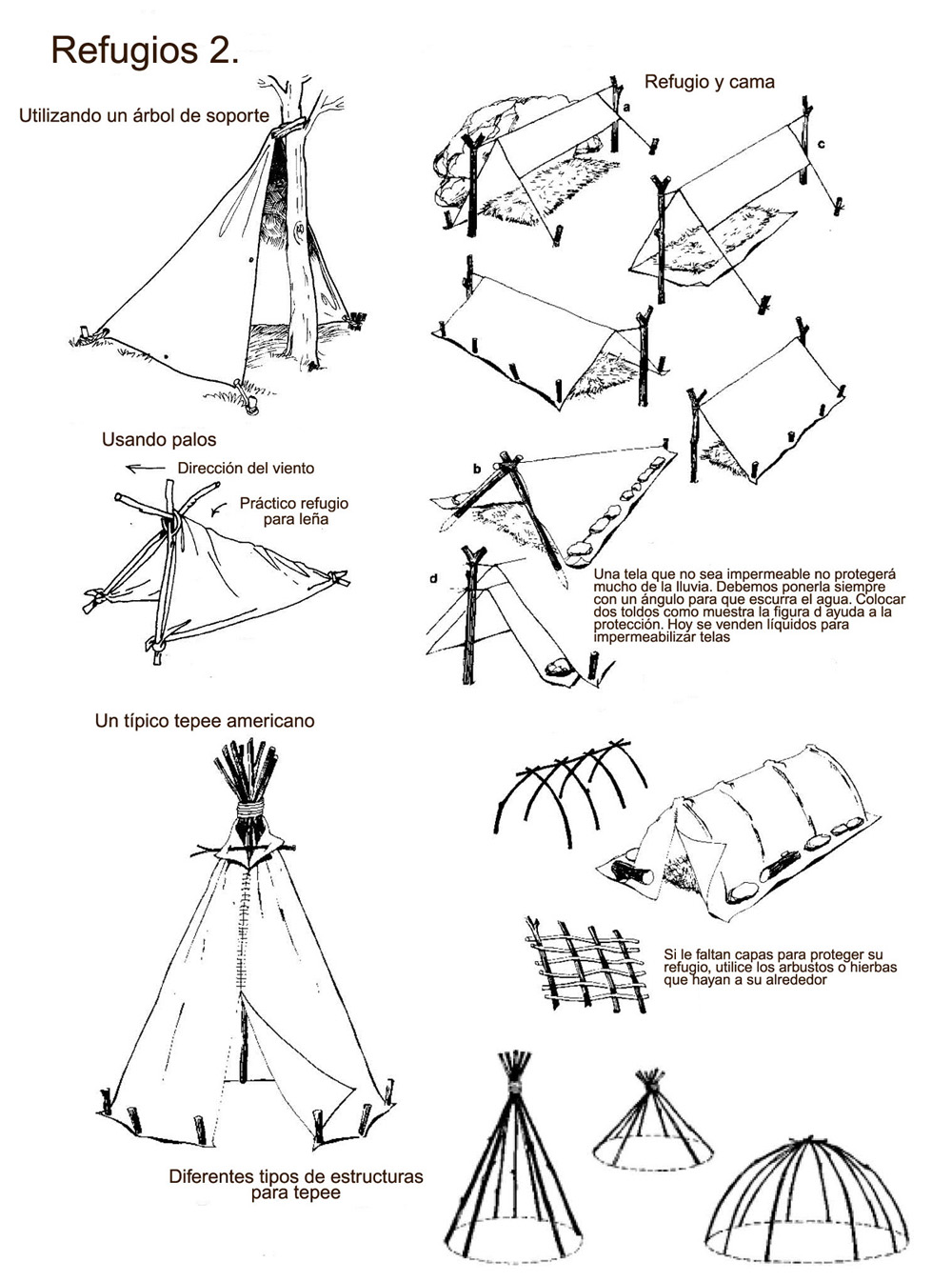 Scouts Orinoco: Astucias Scouts