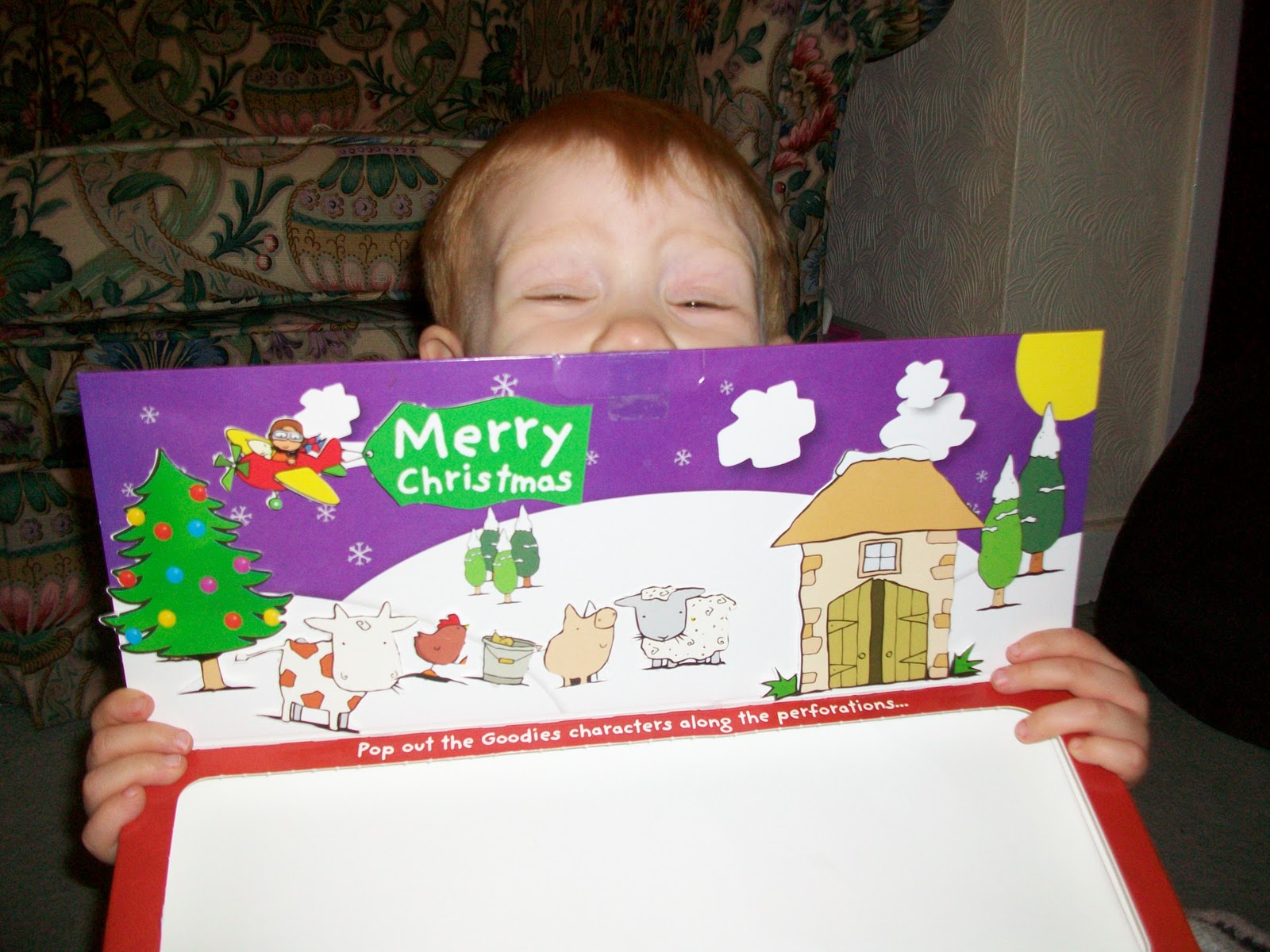 Piddley Pix - The Blog!: Organix Christmas Selection Box - Review!