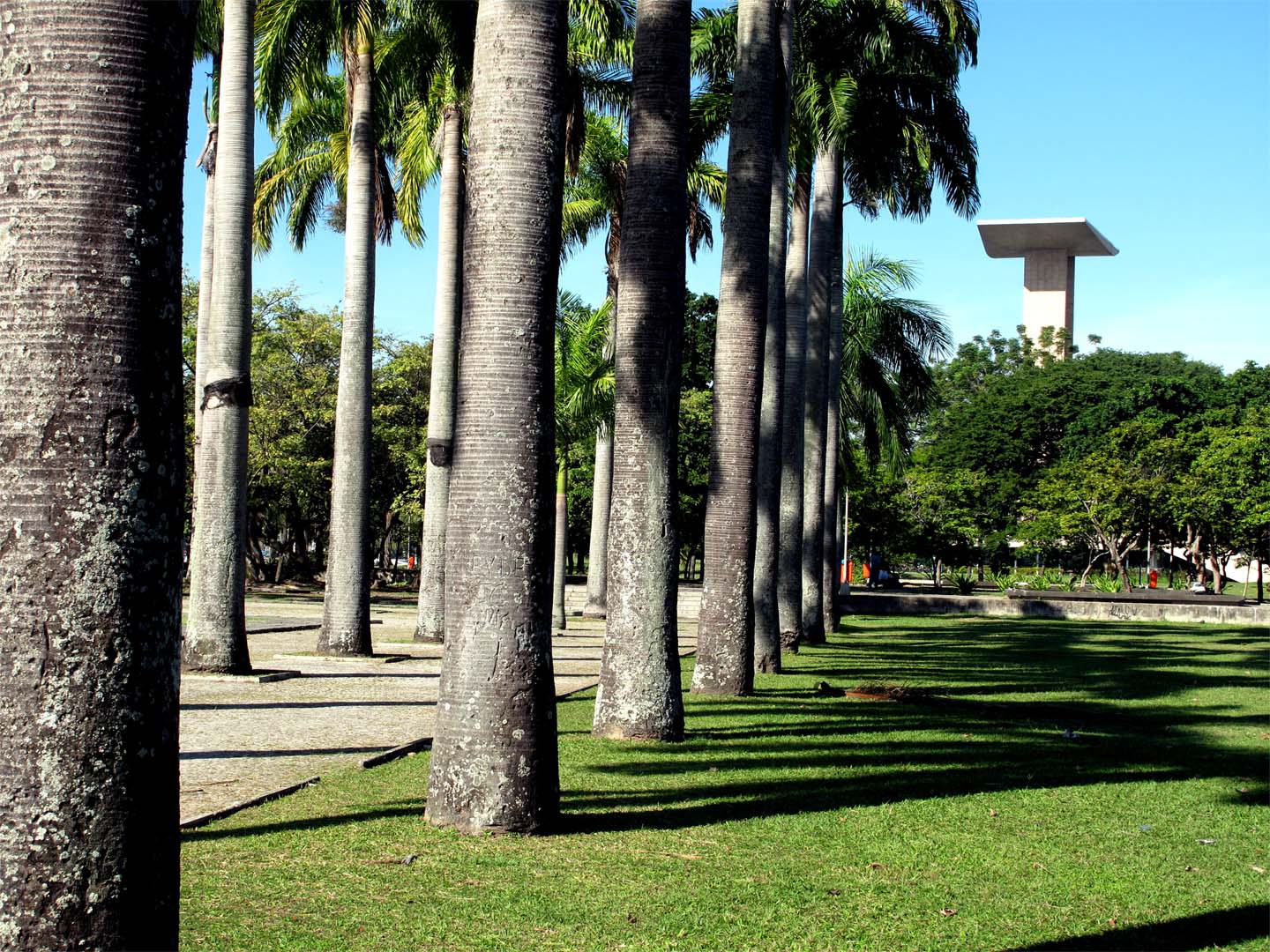 Fotografias de Roberto Machado Alves: Parque do Flamengo - Rio de Janeiro