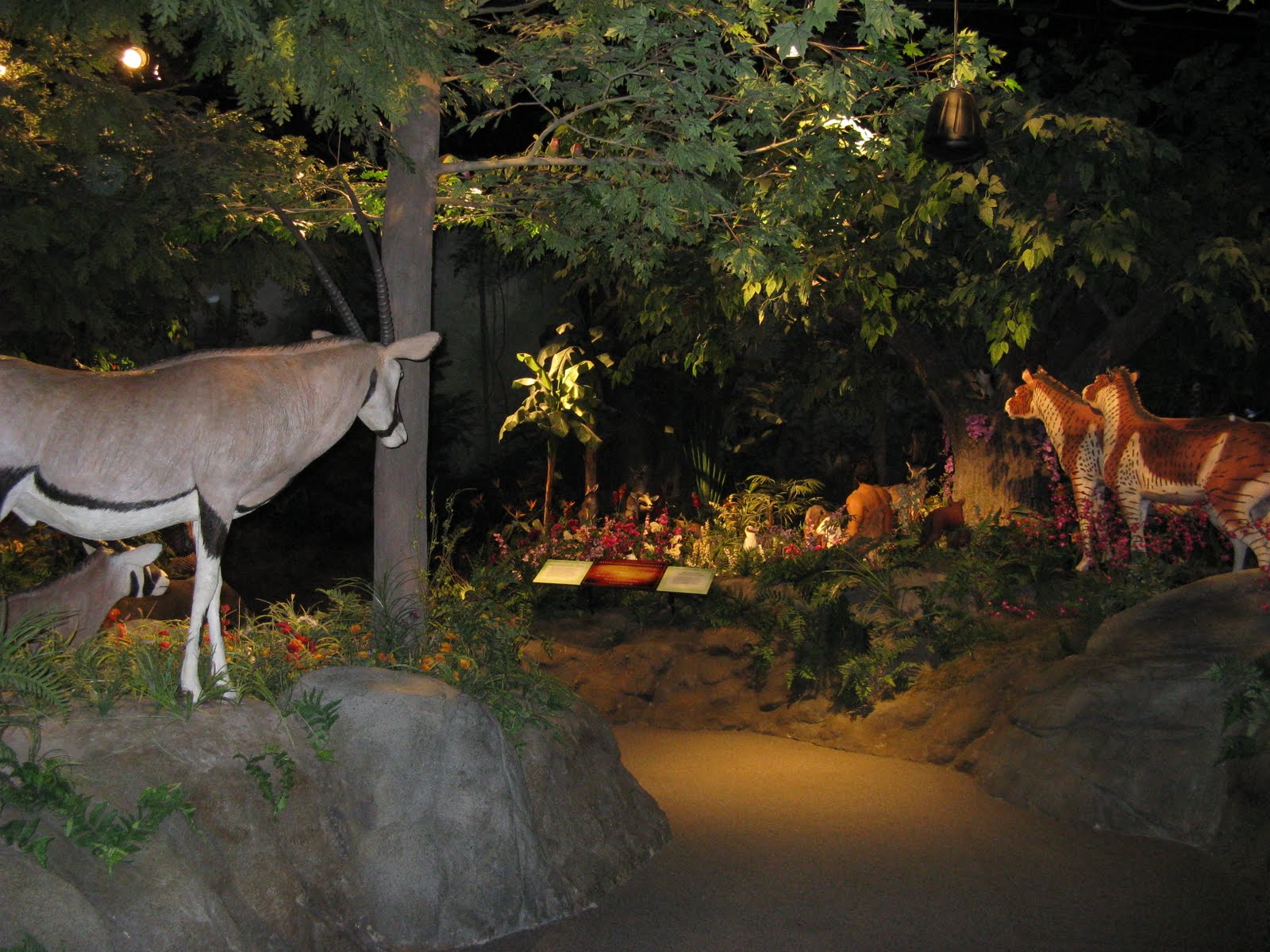 Cranberry Tea Time: The Creation Museum