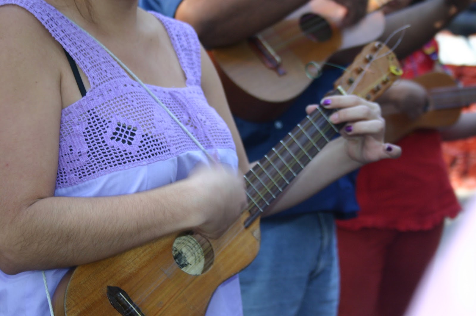 Que siga el fandango...: Talleres de Jarana y Requinto