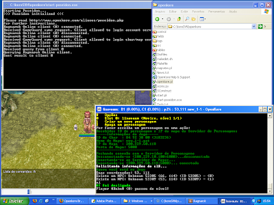 A Arte de Botiar! Openkore Ragnarok Brasil: Como se Conectar pelo Poseidon
