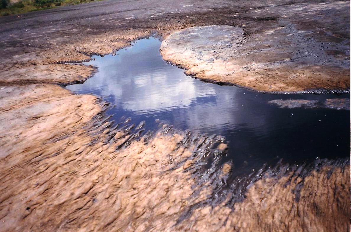 Pitch Lake – New Jersey, Trinidad and Tobago - Atlas Obscura