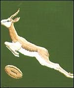 Seth's Year in Cape Town: The Power of Symbols: Springboks vs. Proteas