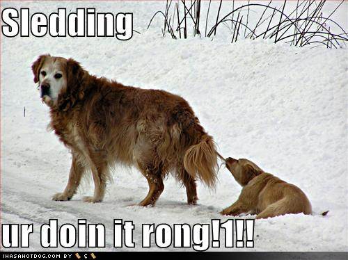 BlogidyBlog: Cold Weather Fun?