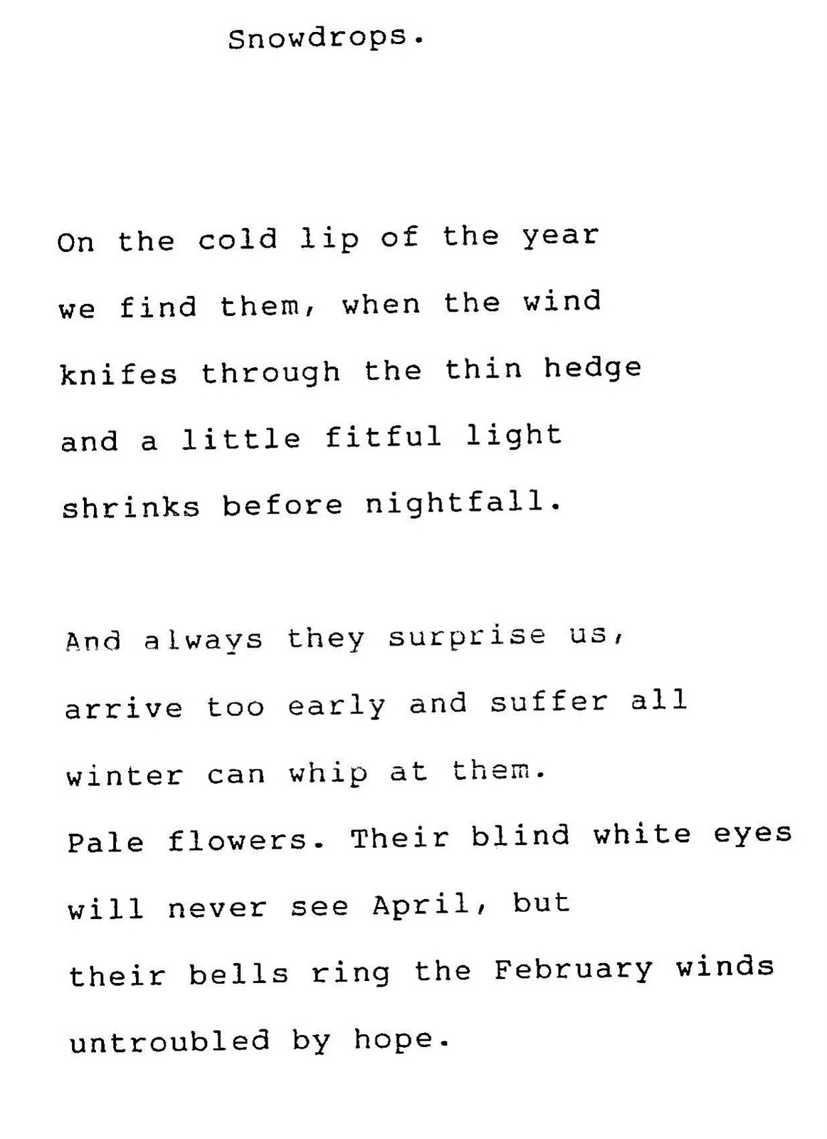 PAUL COLTMAN'S POEMS: SNOWDROPS