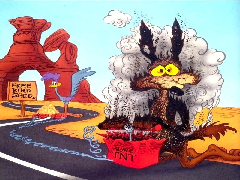 NYSA Coyotes: Road Runner Strikes Again