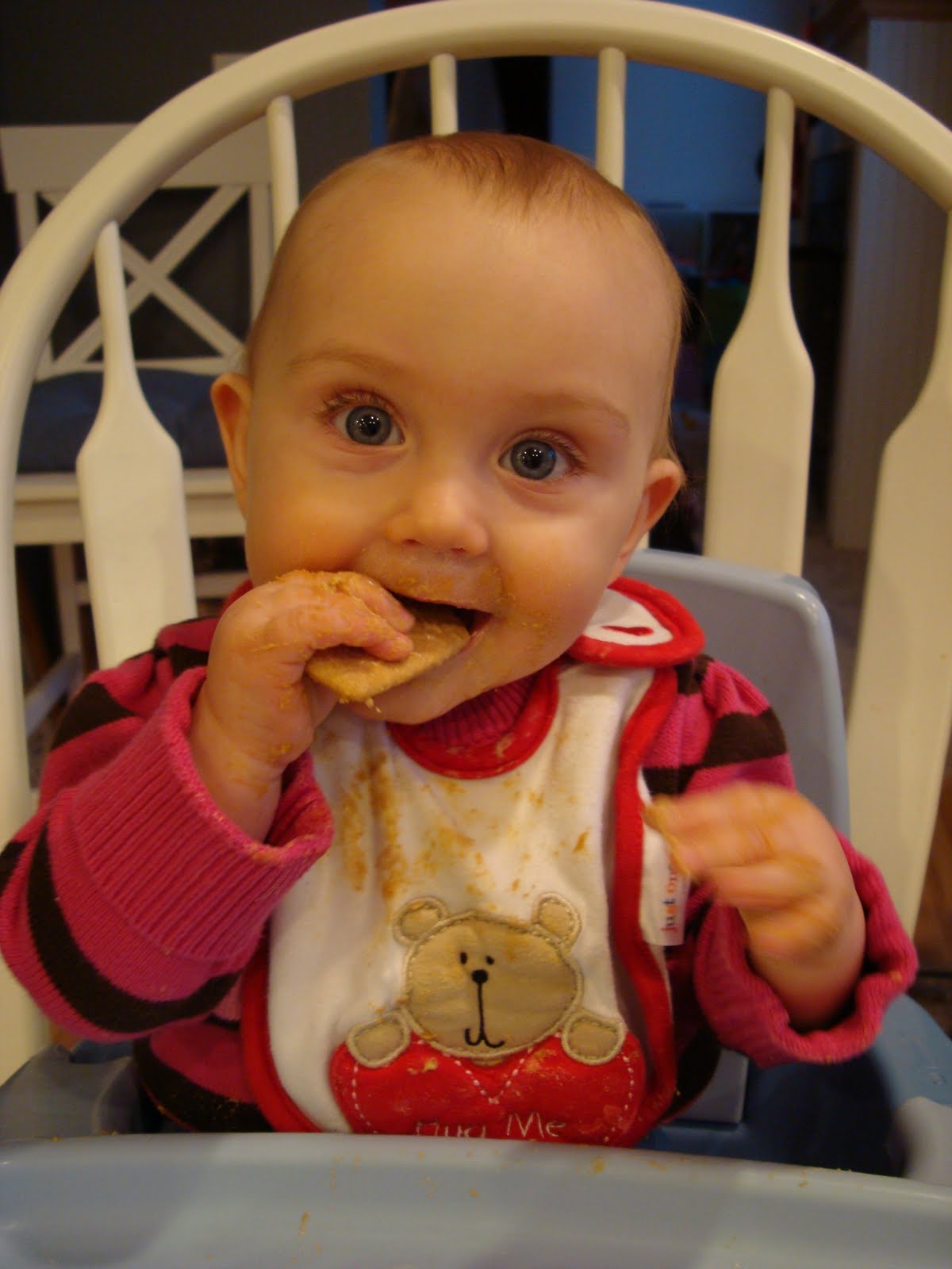 The Marsh Family Blog: Teething biscuits for 7 teeth