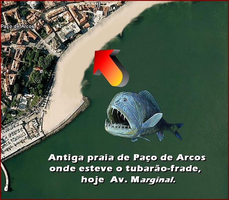OS BARDINOS: O PEIXE-MONSTRO DE PAÇO DE ARCOS