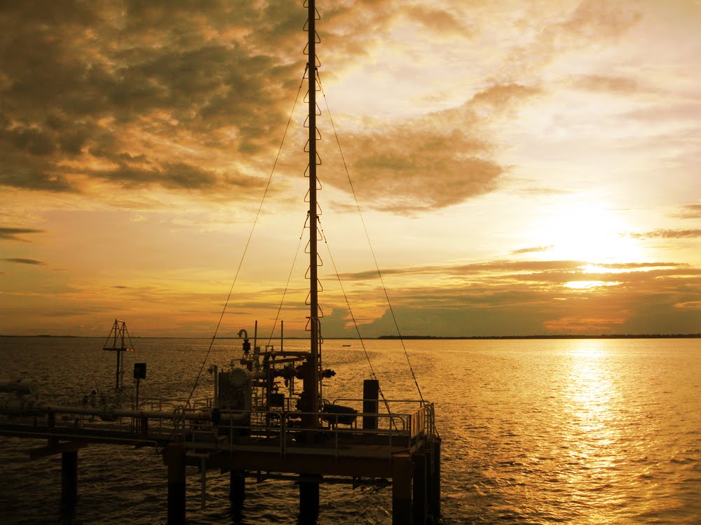 BACKPACKER'S DIARY: MAHAKAM DELTA, Sunset at the Field, East Borneo ...