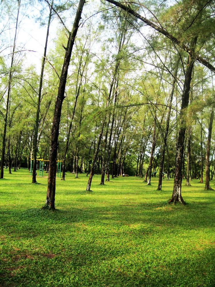 BACKPACKER'S DIARY: KASUARINA PARK, Chevron Camp, Duri, Riau, Indonesia