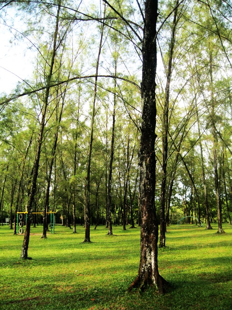 BACKPACKER'S DIARY: KASUARINA PARK, Chevron Camp, Duri, Riau, Indonesia