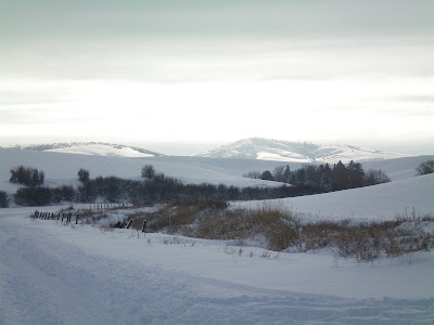 Pullman snow pile