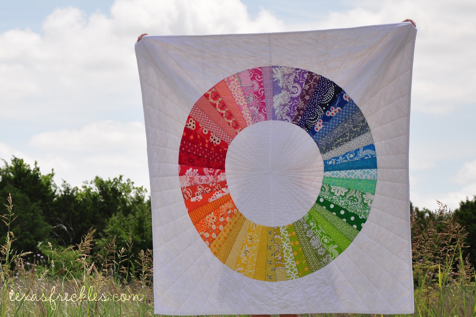 Texas Freckles: Color Wheel Quilt