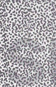 ecclection: Security Paper Pattern, UFCU