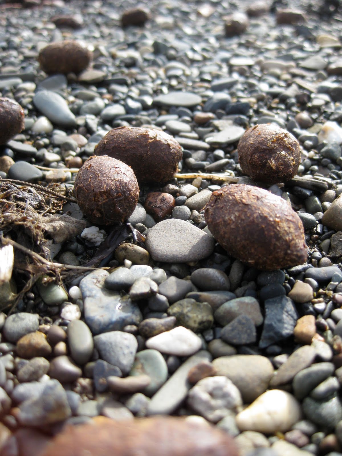 Simmons with Three kiddos: Kasigluk River