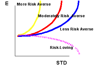 Stuck in the Mud: Risk lover and risk averse