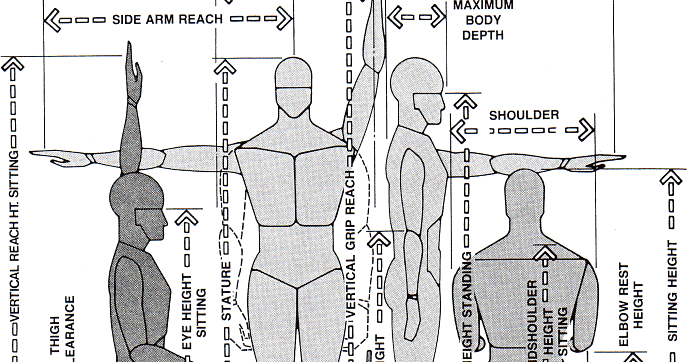 design: Anthropometrics