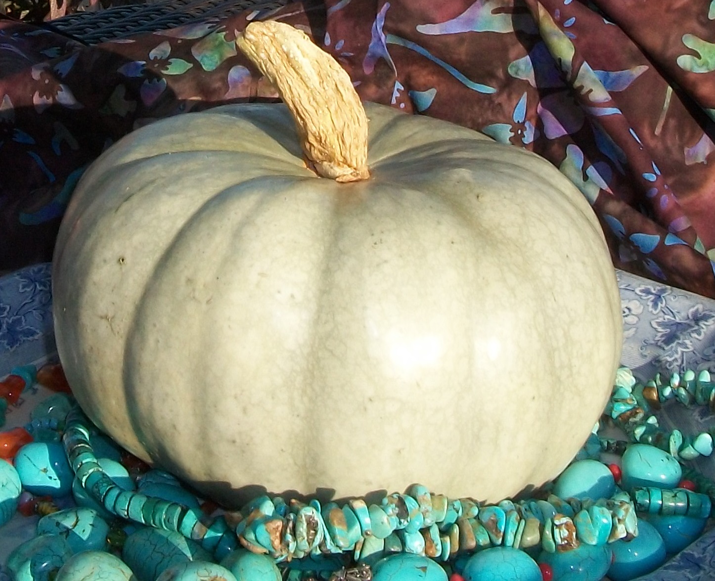 Gone To The Beach: Pumpkin of a Different Color
