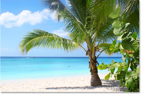 Summer Vacation: The best place to go in summer