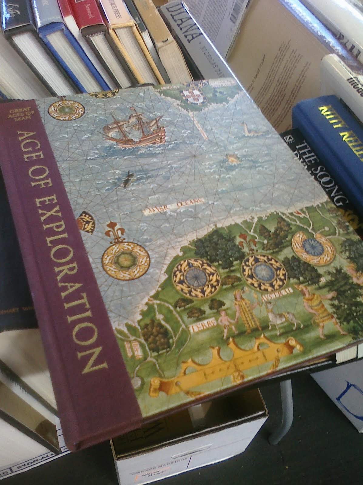 Judge This Book Cover: I love books with maps...