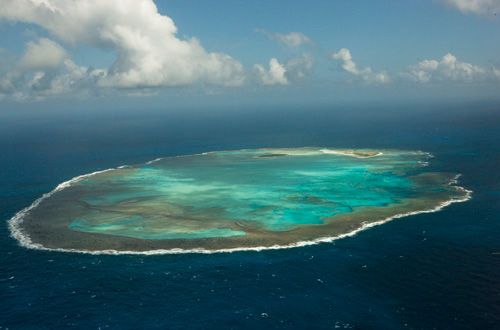RESERVA BIOLÓGICA DO ATOL DAS ROCAS ~ Conhecimento é tudo