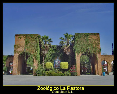 Monterrey, México: Parque zoológico La Pastora