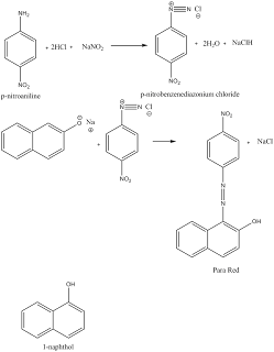 Organic Chemistry Labs: Preparation of Para Red and Related Azo dyes