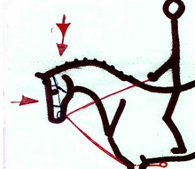 Hoof Prints On The Heart: Is Using Draw Reins a Good Technique?