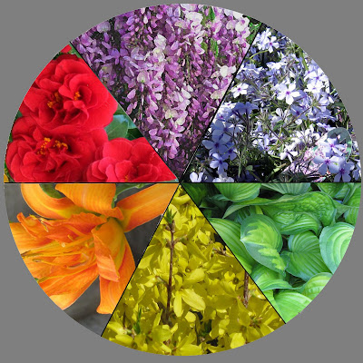 JEAN BAARDSEN: Spring Color Wheel