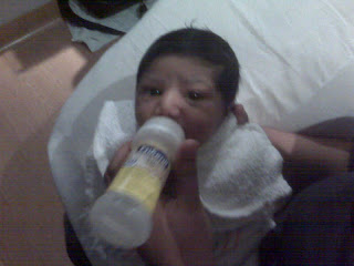 Levi the Lion: Levi Jeevan Mohan