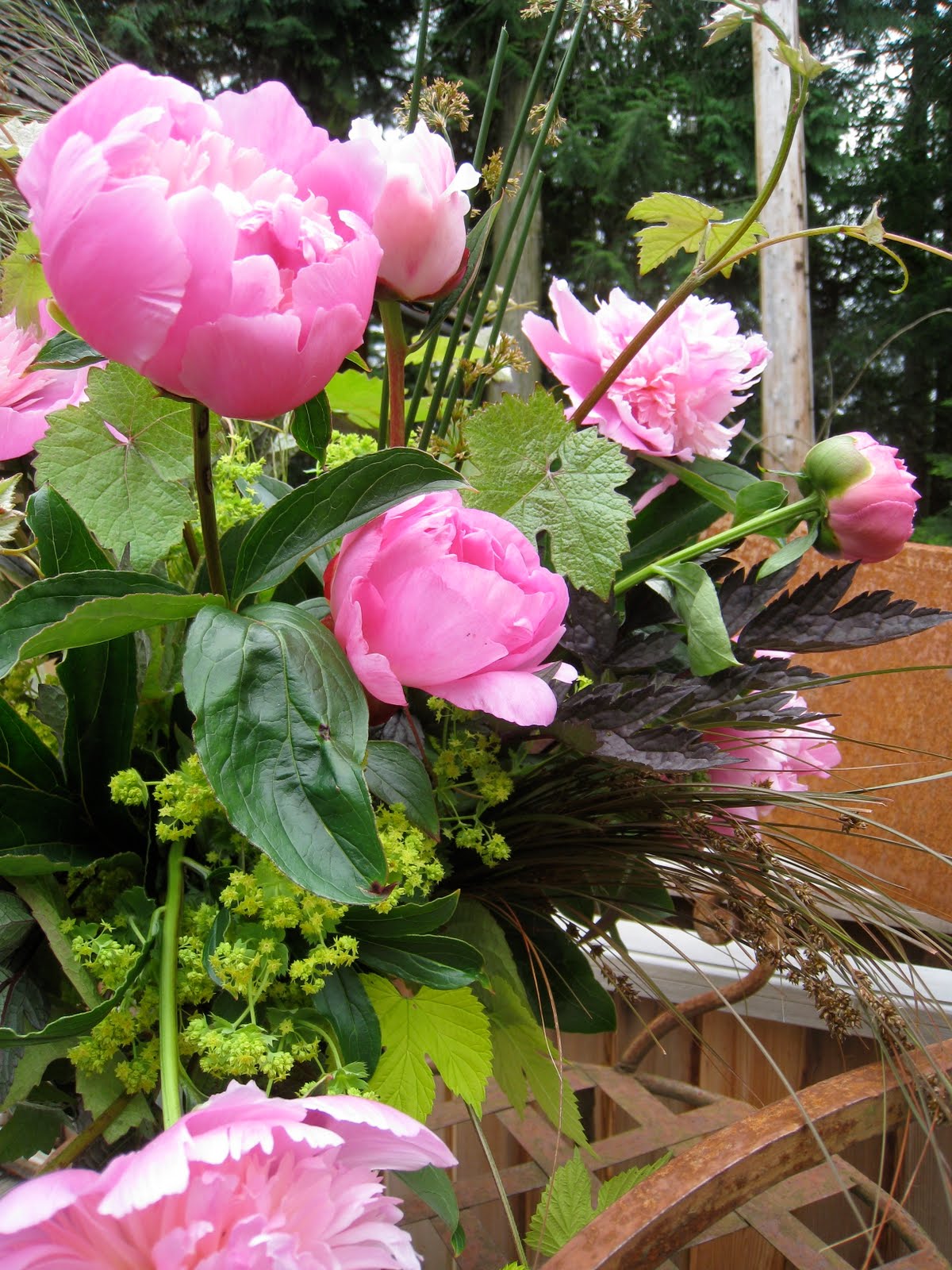 Christina's Garden: pretty pink peonies