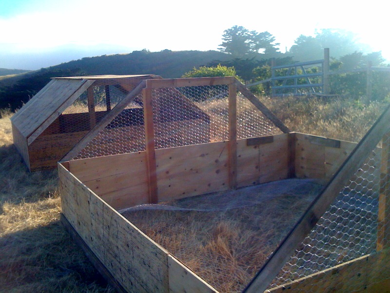 Early Bird Ranch: Brooders