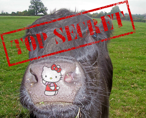 Bowling in the Dark: Fake Pandas for Sale, part 2