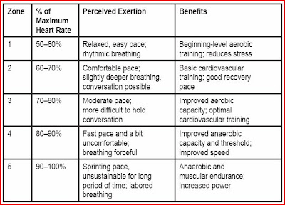 Jeff's London Marathon '09: HRM - Heart Rate Zones