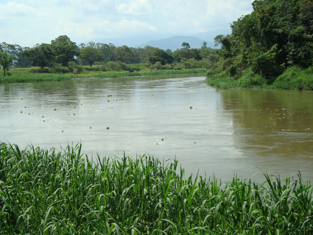 HISTÓRIA DA CIDADE DE PINDAMONHANGABA ~ MAS