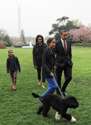 Pet Pedia: Obama Family enjoying with pet dog "BO OBAMA"