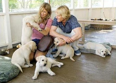 Pet Pedia: Jennifer Aniston Having Great Time With "Norman"