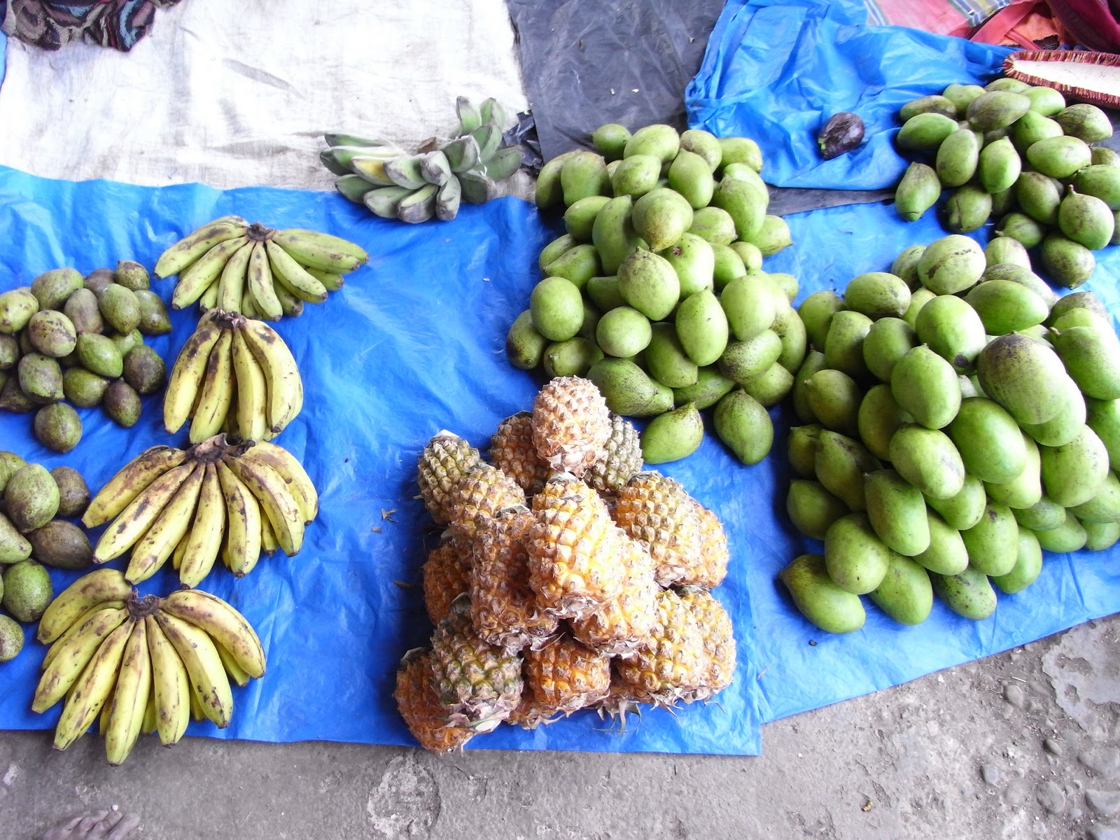 The Tanners: A Trip to the Market!!!