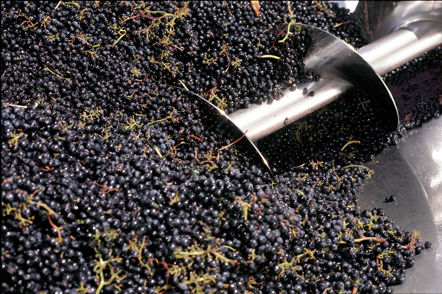 Redwood Shores Wine Club: October 2010