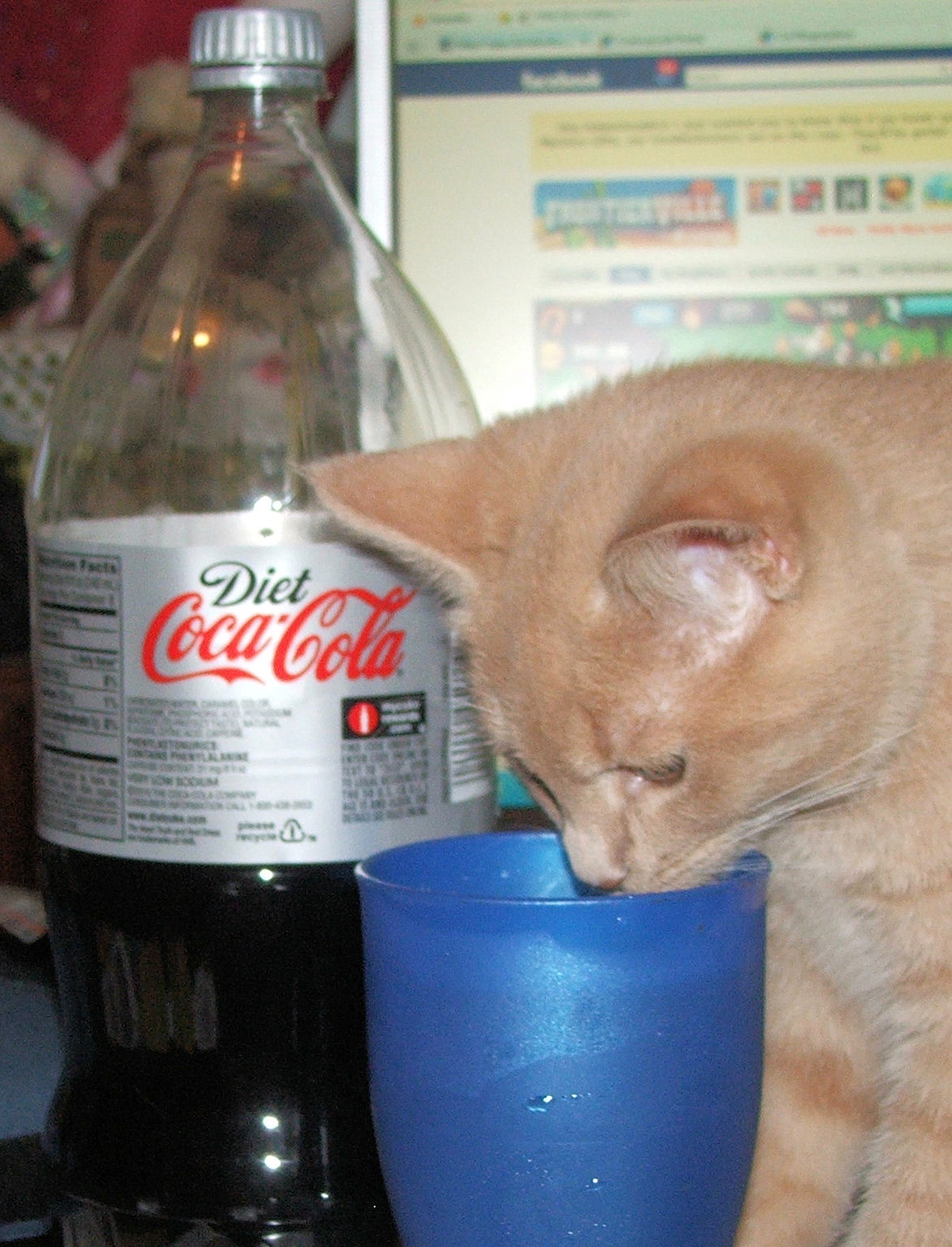 Ozark Mountain Cats: Friday Fizzies....