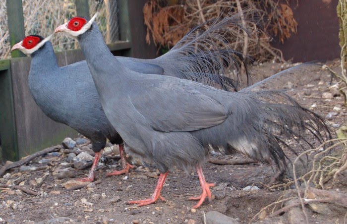 Pelancongan Terengganu: Taman Kuang Ajil