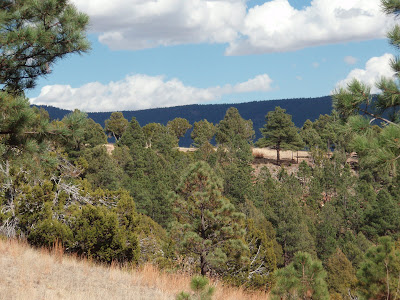 Mora Valley New Mexico